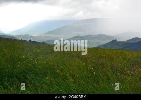 Fields and meadows before thunderstorm Stock Photo - Alamy