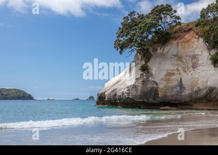 Cathedral Cove Beach near Hahei Stock Photo - Alamy