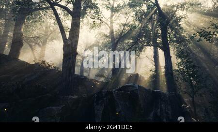 Foreat at hight with bright moon light Stock Photo - Alamy