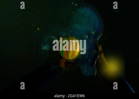 full egg moon back on silhouette Iron fence on night sky, Elements of ...