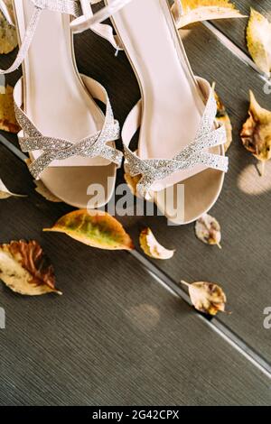 Close-up of sequined sandals on wood texture with yellow leaves in ...