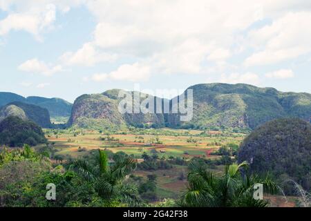 Viñales Valley, Cuba, Central America Stock Photo - Alamy
