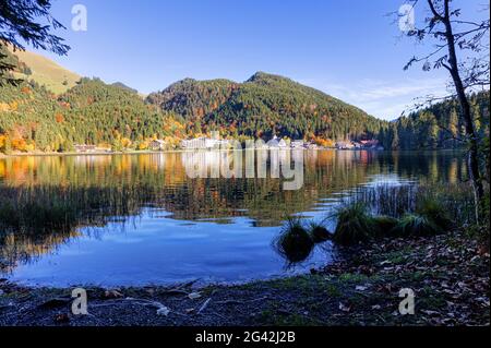 Spitzingsee on the shore in autumn, Bavaria, Germany Stock Photo - Alamy