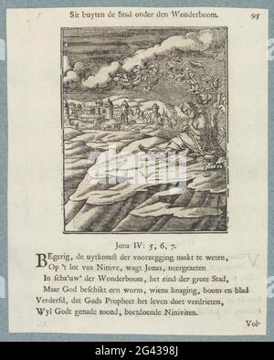 Jonah under the wonder tree. God makes a wonder tree growing so that ...