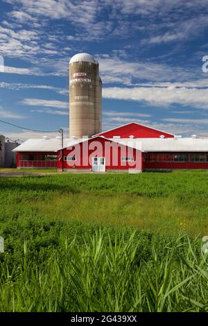 Cornfields in Quebec Stock Photo - Alamy