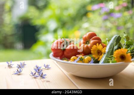Urban gardening: Fresh cultivated vegetables grown up in the own garden ...