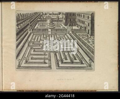 Illustration of spiral arrangement in nature. Fibonacci pattern Stock ...