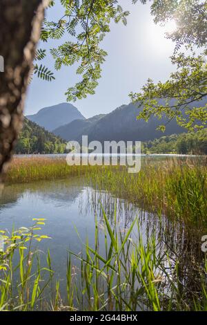 Tranquil sunset at the lake. Lake Thumsee, Germany Stock Photo - Alamy