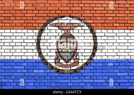 flag of the Bronx painted on brick wall Stock Photo - Alamy
