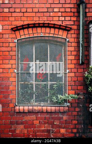 Halloween concept : Blood splatter on white background Stock Photo - Alamy