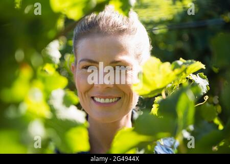 Female vintner standing in vineyard Stock Photo - Alamy