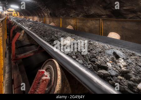 Underground coal mining, transportation of coal to the conveyor belt ...