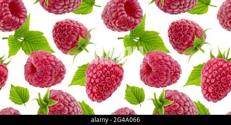 Raspberry seamless pattern isolated on white background Stock Photo - Alamy