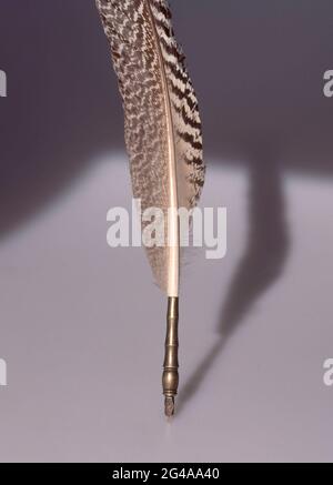 PLUMA. Location: PRIVATE COLLECTION. MADRID. SPAIN Stock Photo - Alamy