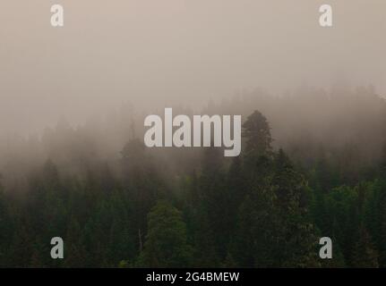 Far over the Misty Mountains and forest Stock Photo - Alamy