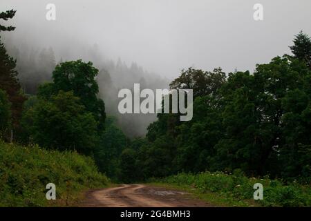 Far over the Misty Mountains and forest Stock Photo - Alamy