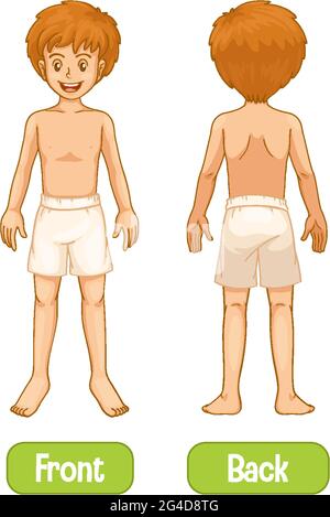 Opposite words for front and back illustration Stock Vector Image & Art ...