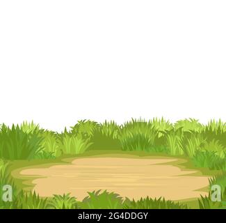 Glade. Place in a meadow with wildflowers. Grass close-up. Beautiful ...