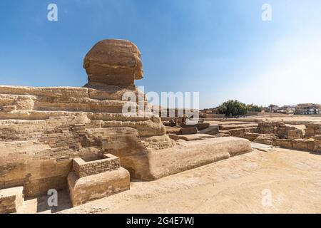 Side view of The Great Sphinx of Giza, Cairo, Egypt Stock Photo - Alamy