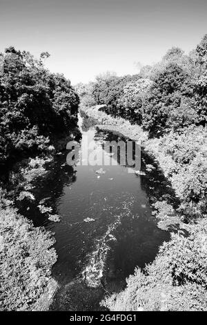 A Beautiful Shot Of Indian Village Rural Road, Forest Plant Tree And ...