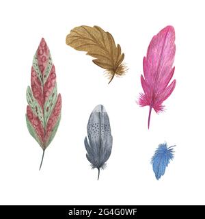 Bird feathers seamless pattern boho style watercolor illustration ...