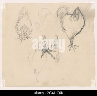 This detailed anatomical illustration of the domestic fowl highlights ...