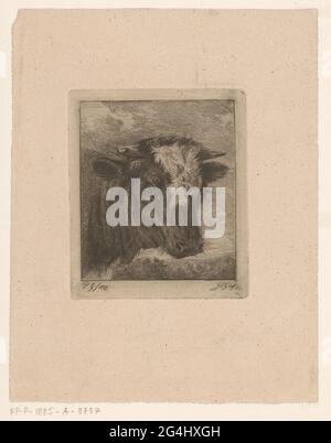 Cup of a cow with white col Stock Photo - Alamy