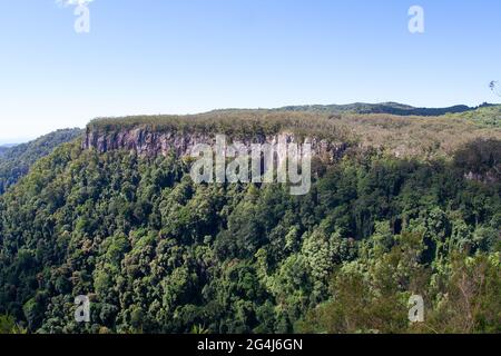 Canyon Falls Lookout, Twin Falls Circuit, Springbrook National Park ...