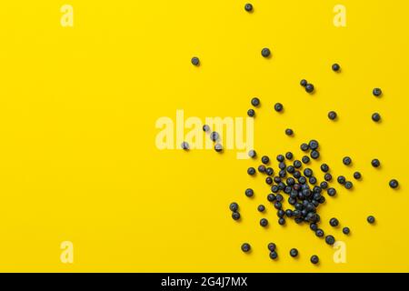 clean blueberry berries fruit isolated on the colorful surface, copy ...