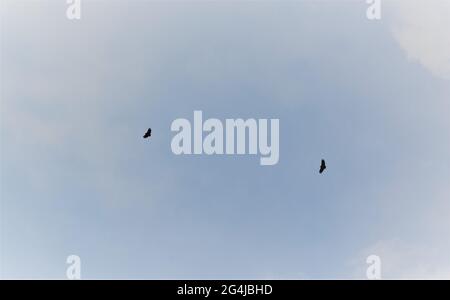 Lua - satélite natural Stock Photo - Alamy