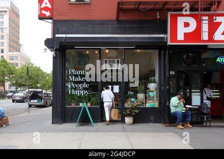[historical storefront] The Sill, 84 Hester St, New York, NYC ...