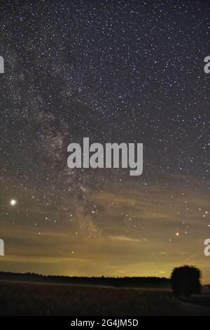 A mesmerizing glittering starry sky seen through a field - perfect for ...