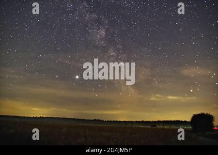 Mesmerizing glittering starry sky seen through a field - perfect for ...