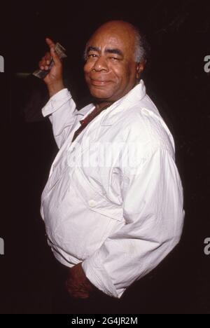 Roscoe Lee Browne Circa 1980's Credit: Ralph Dominguez/MediaPunch Stock ...