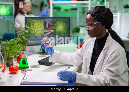 African chemist woman analyzing vegan beef meat for biochemistry ...