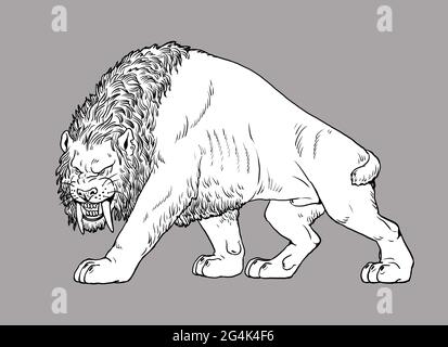 Saber tooth cat on the hunt. Animals drawing. Saber-toothed cat attack ...