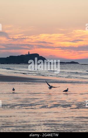 A beautiful sunset over Fidra island, North Berwick, Scotland Stock ...