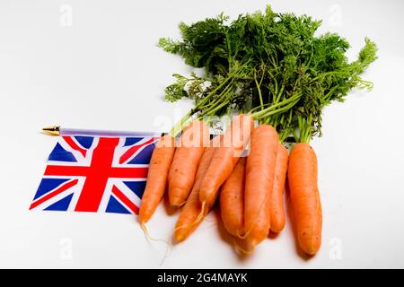 A bunch of carrots with tops and a Union Jack Flag isolated on a white ...