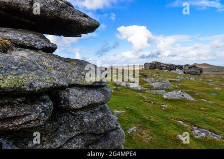 A thor in the Dartmoor National Park in Devon, UK Stock Photo - Alamy