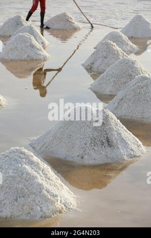 SENEGAL, Kaolack, salt works in saline, sea-salt pans in Saloum river ...