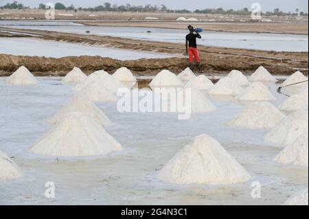 SENEGAL, Kaolack, salt works in saline, sea-salt pans in Saloum river ...