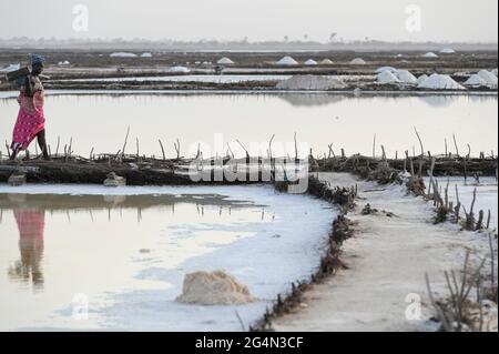 SENEGAL, Kaolack, salt works in saline, sea-salt pans in Saloum river ...