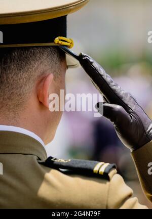 Romanian Army veterans salute during a ceremony Stock Photo - Alamy