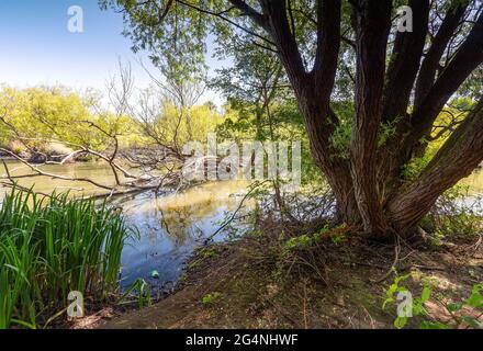 Lochend Park is a public park for anyone to enjoy, Edinburgh, Scotland ...