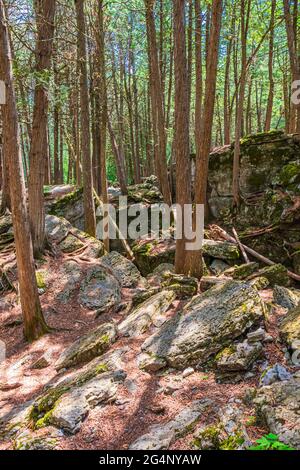 Warsaw Caves and Conservation Area Warsaw Ontario Canada in summer ...