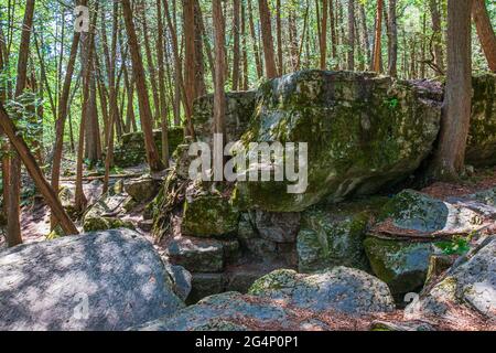 Warsaw Caves Conservation Area Warsaw Ontario Canada in summer Stock ...