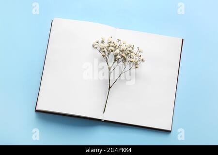 Beautiful gypsophila flowers and blank book on color background Stock ...