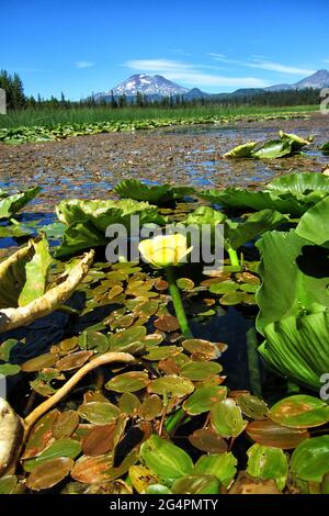 A Day at Hosmer Lake, Oregon Stock Photo - Alamy