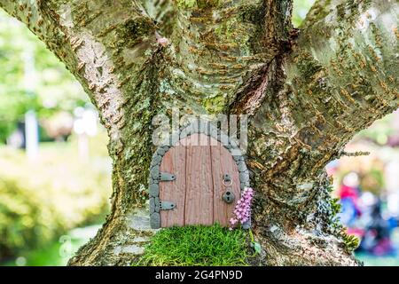 small doors made of polymer clay on cherry tree like a fairy house ...
