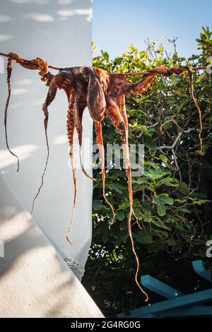 Grilled octopus Greek style Stock Photo - Alamy